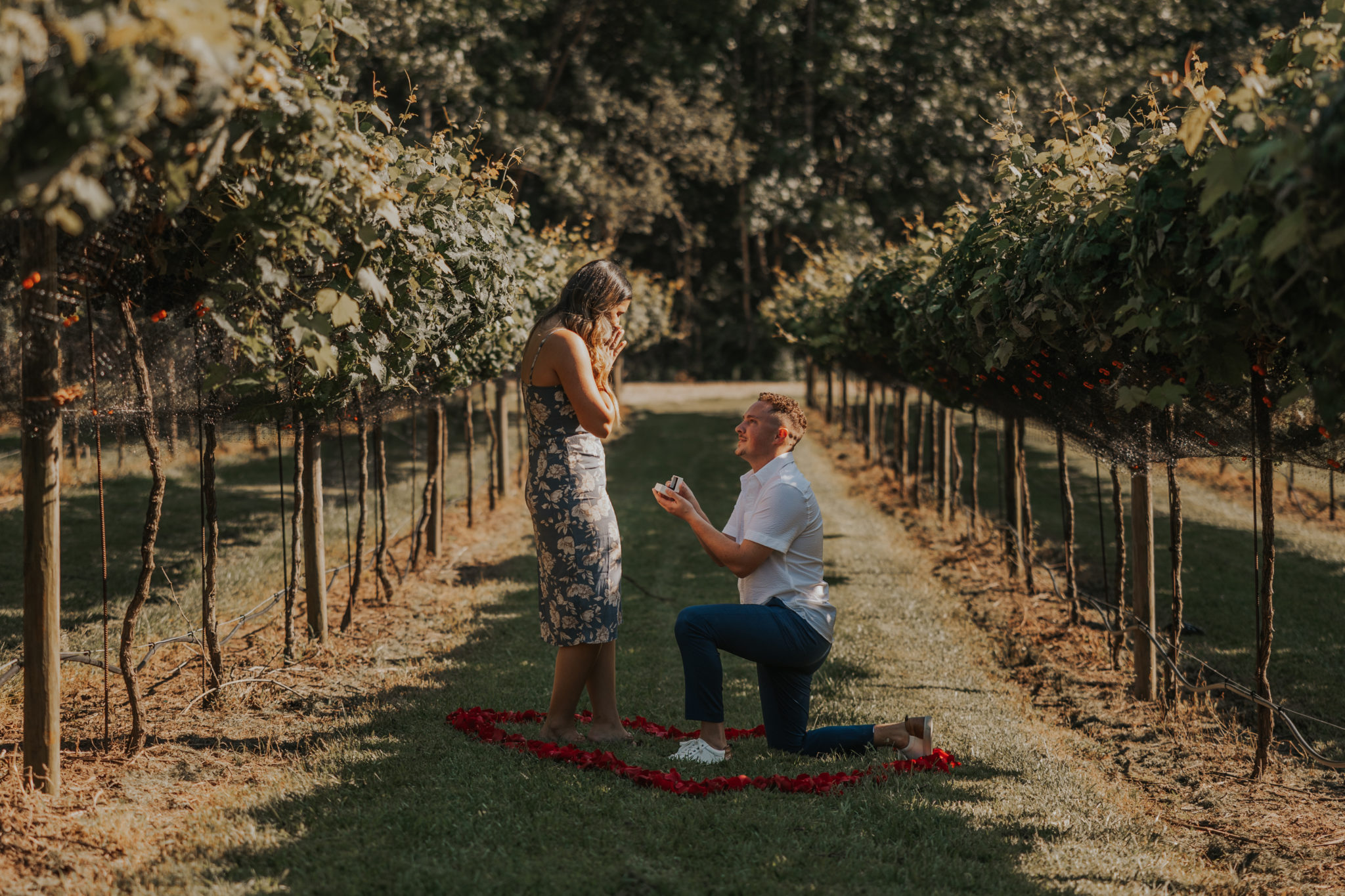 Winery Proposal at Three Strands Vineyard and Winery - rachelboydphoto.com